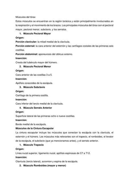 Músculos del tórax inserciones Aarón Hernandez uDocz