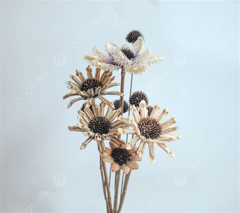 134 Wallpaper Bunga Kering Images MyWeb