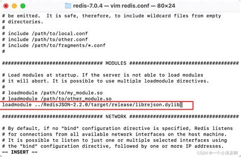 mac redis 安装 redisjson模块教程 redis 加载json模块 csdn博客
