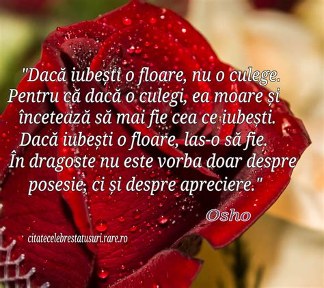 Citate In Poze Colectie De Citate Statusuri Proverbe Cuvinte Si
