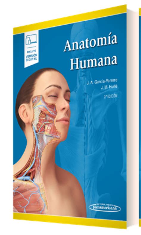Anatomía oral clínica una revisión exhaustiva para dentistas y