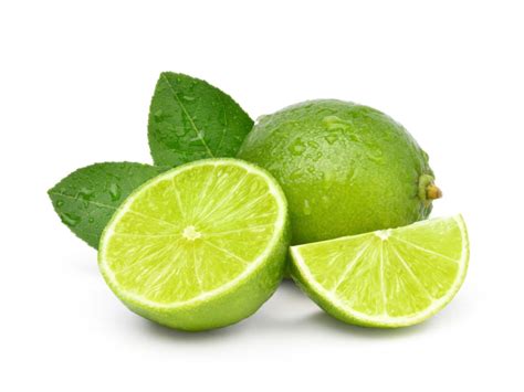 Lemon Vs Lime Official Online Micoope Gt