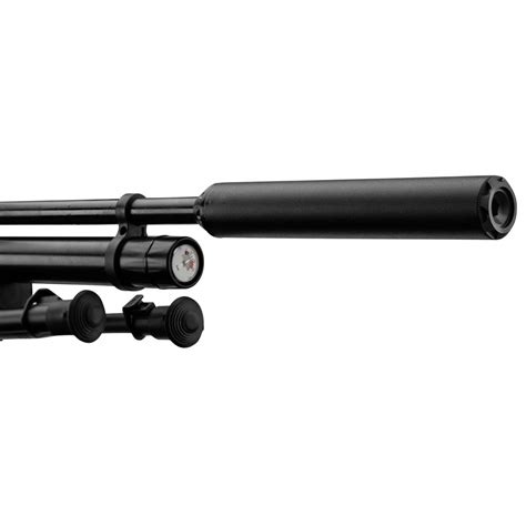 Pack Carabine Gamo Hpa Pcp X Silencieux Bipied