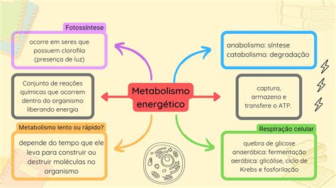 Processos do metabolismo energético Bullet Journal Metabolism