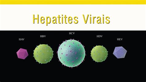 Hepatites Virais YouTube