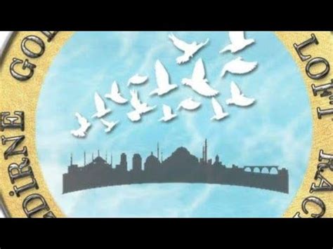 Yarış Güvercinleri Salım Anı Edirne Golden Cup One Loft Race 70 KM