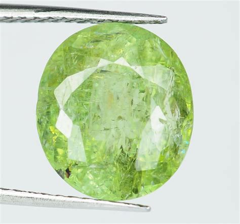 No Reserve Intense Yellowish Green Paraiba Tourmaline Catawiki