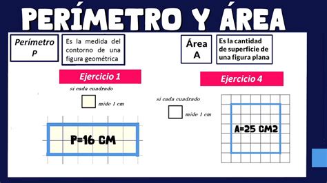 Concepto de perímetro y área de una figura plana YouTube