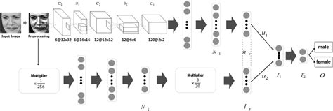 deep learning network for gender classification download scientific diagram