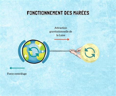 Comment fonctionnent les marées Pimpant