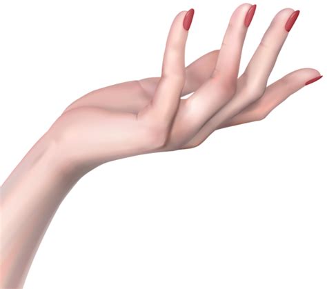 Woman Hand PNG Clip Art Image Gallery Yopriceville High Hand
