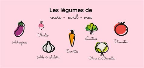 Comment préparer son potager pour la saison Mon petit potager