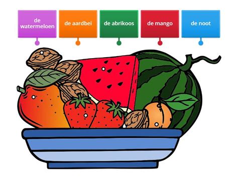 Fruit Diagramme 2 Labelled Diagram