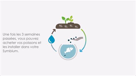 Le cycle azote expliqué simplement pour comprendre comment fonctionne