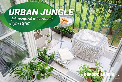 Urban Jungle jak urządzić mieszkanie w stylu miejskiej dżungli