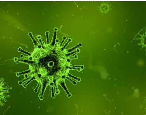 50 ramas de la biología Euroinnova