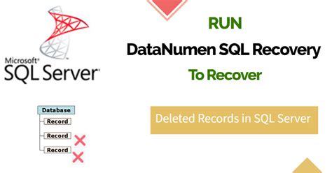 How To Retrieve Deleted Table Data In Sql Server Management Studio