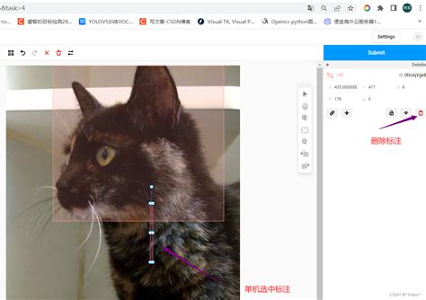 Windows Label Studio Label Studio Csdn