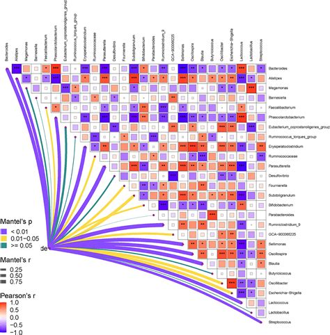 Frontiers Metagenomic Insights Into The Relationship Between Gut