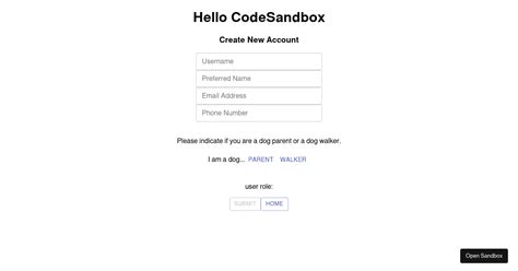 React Password Strength Examples CodeSandbox