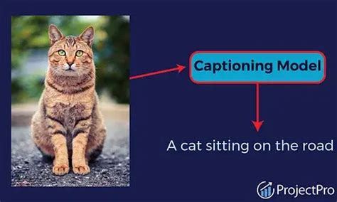 Top 3 Image Captioning Deep Learning Project Ideas For Practice