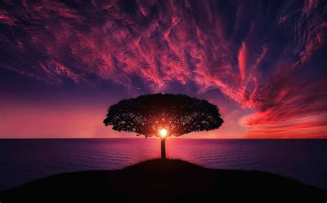 Java Treeset Explained With Examples Cats In Code