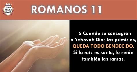 Romanos Capítulo 11 Mosqueteros de Yehovah