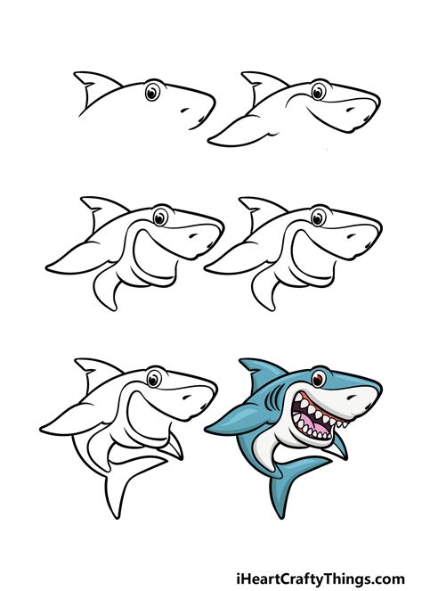 How To Draw A Shark Step By Step