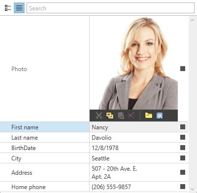 Property Grid WPF Controls DevExpress Documentation