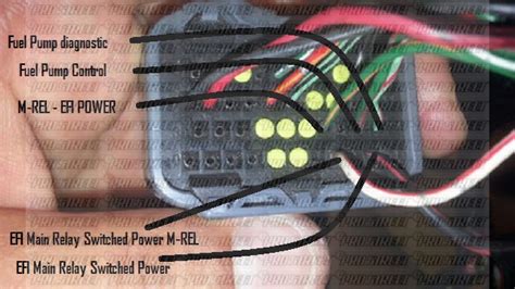 Jz Vvti Ecu Wiring Diagram Wiring Diagram