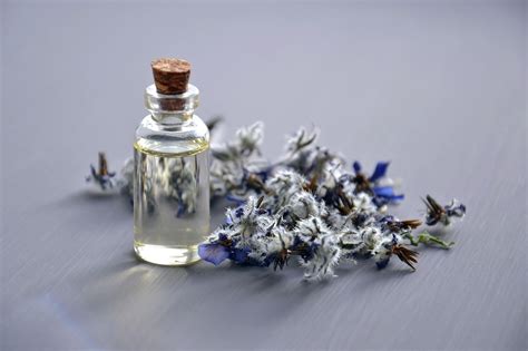 Las Plantas Medicinales Contrarrestan Los Dolores Musculares