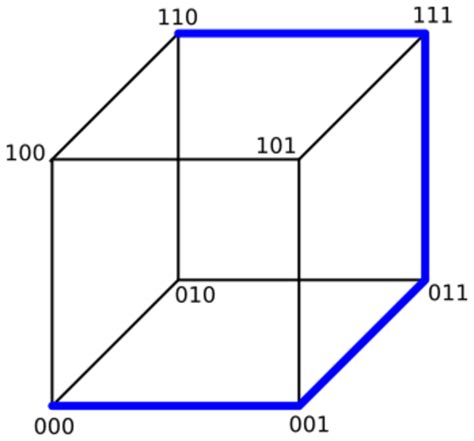 induced path handwiki