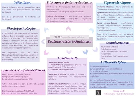 Endocardite Infectieuse Fiches IDE