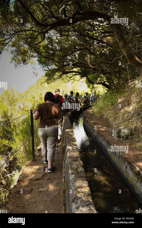 People Walking On The Network Of Levadas Water Channels Which Cross