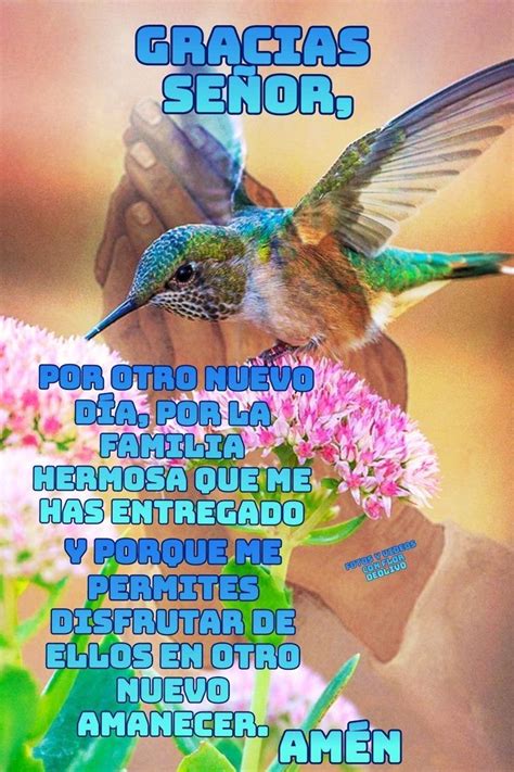 Pin De Xenia Picado En Feliz Mensajes De Buenos Dias Imagenes De