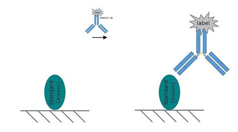 An Introduction To Elisa Part