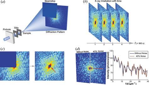 iucr qu­antitative analysis of the effect of radiation on mitochondria structure using