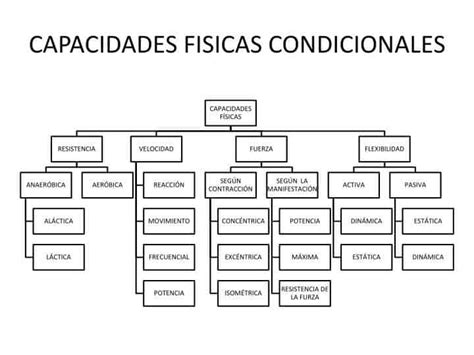 4 Capacidades Condicionales En El Entrenamiento
