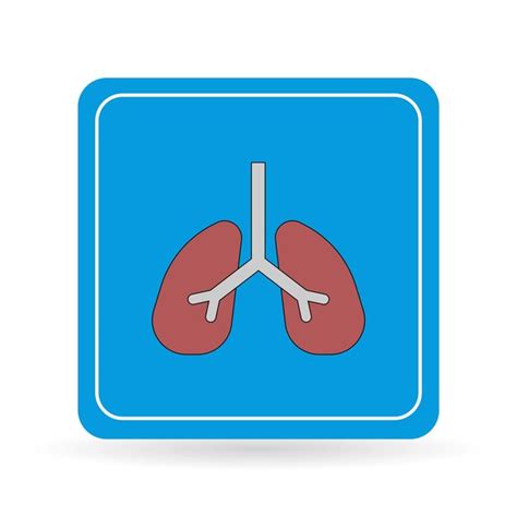 Los Pulmones Vector Premium