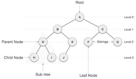 4 introduction to tree binary tree and tree expression 2101711356 farhan adji nugroho