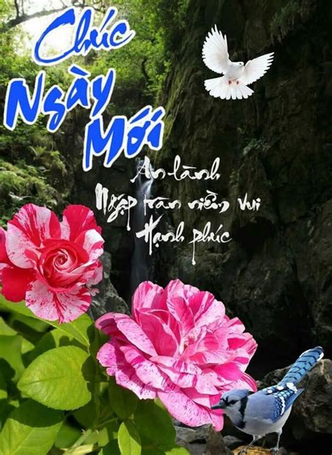 Top 100 những hình ảnh chúc ngày mới mới nhất Starkid