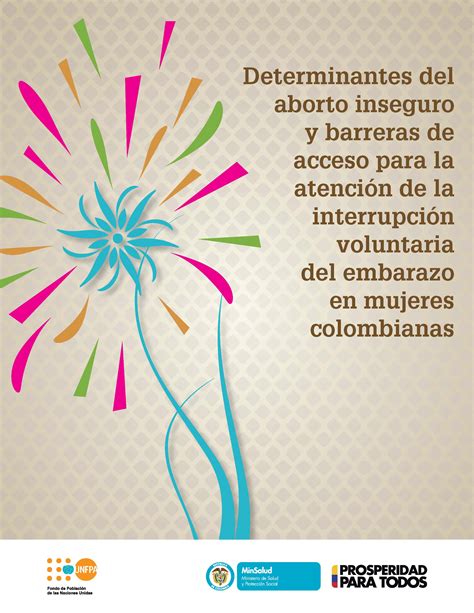 Determinantes Del Aborto Inseguro Y Barreras De Acceso Para La Atenci N