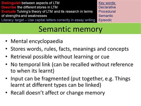 semantic memory model