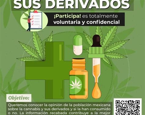 Encuesta 21 de mexicanos consumiría cannabis medicinal