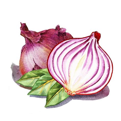 An Onion And Garlic On A White Background