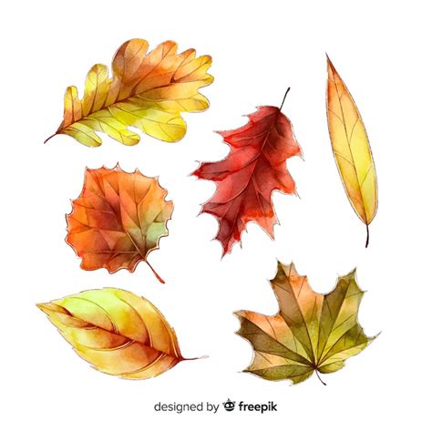 Colección de hojas de otoño en acuarela Vector Gratis