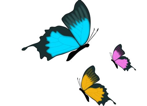 Mais De Vetores Gratuitos De Borboleta E Inseto Pixabay