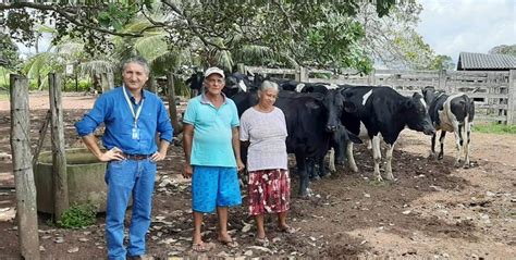 Projeto Leite Araguaia aumenta a produção leiteira e fortalece a