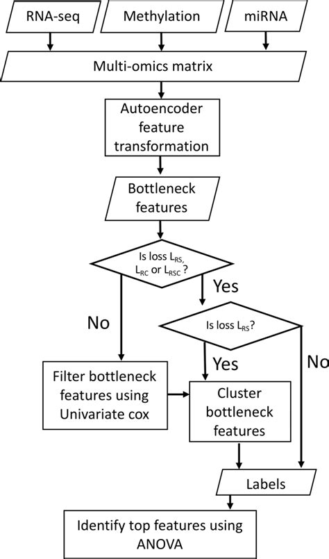 a flowchart of the autoencoder training process the flowchart download scientific diagram