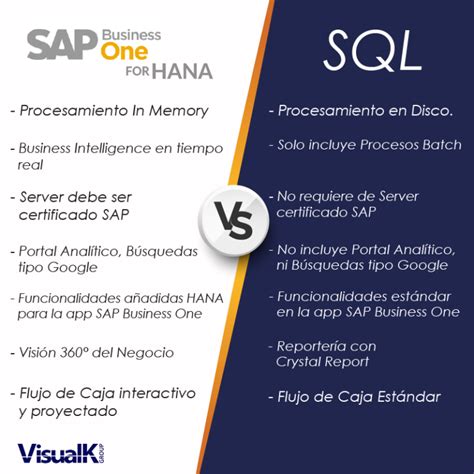 principales diferencias entre sap business one en sql vs hana visualk my xxx hot girl